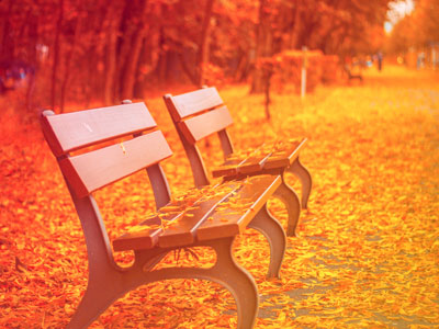 Homenagem Póstuma: Como Fazer - Blog